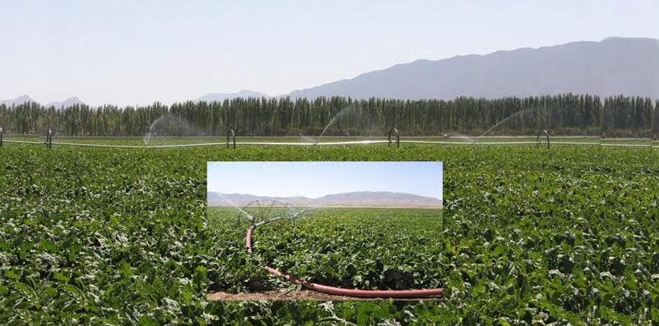 Side Roll Irrigation