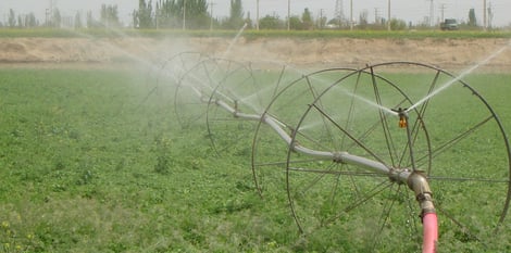 Side Roll Irrigation